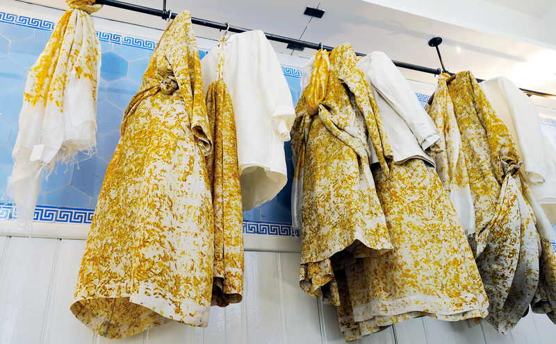 Collaborate with Adiv - Adiv Pure Nature